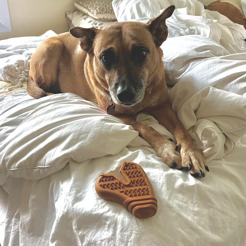FRISCO Beef Flavored Steak Rubber & Nylon Chew Dog Toy for Heavy ...