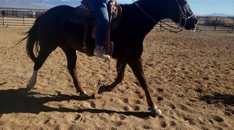 SMARTEQUINE Lamin Ox Hoof Support Powder Horse Supplement, 3.3-lb ...