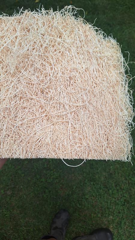 EATON PET & PASTURE USA Grown & Sustainably Harvested Bird Nesting Pad ...