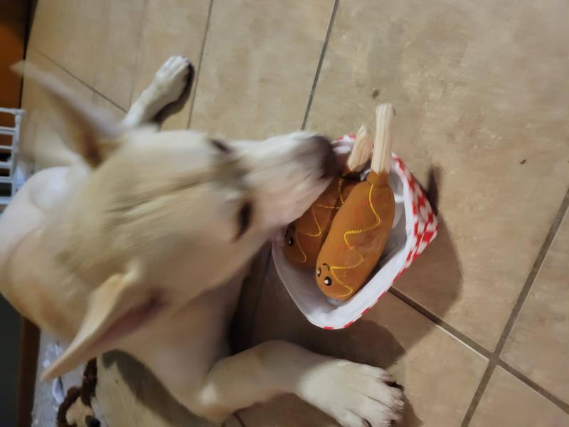 FRISCO Corndog Interactive Plush Squeaky Dog Toy, Small/Medium - Chewy.com