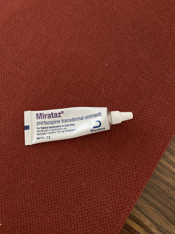 MIRATAZ 20mg/1g (mirtazapine transdermal ointment) for Cats reviews ...