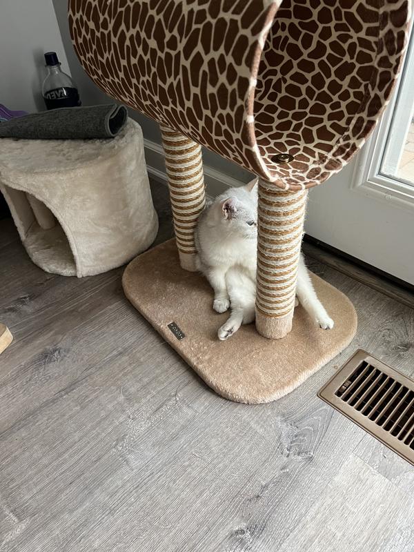 ZEZE Giraffe Tree with tunnel & Scratcher Cat Furniture, Large - Chewy.com