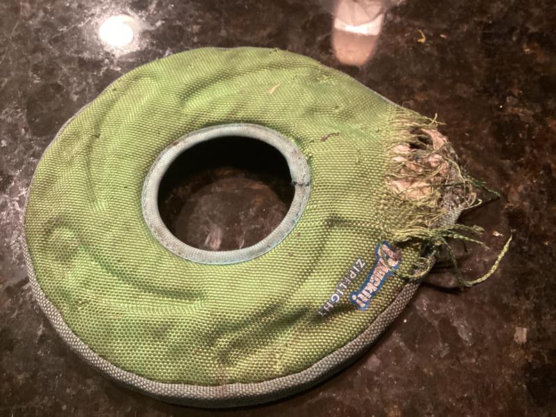 CHUCKIT! Zipflight Disc Dog Toy, Color Varies, Small - Chewy.com