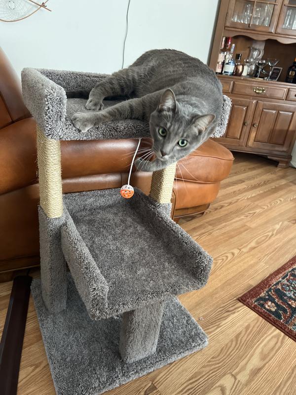 FRISCO 32-in Real Carpet Wooden Cat Tree with Toy, Gray - Chewy.com