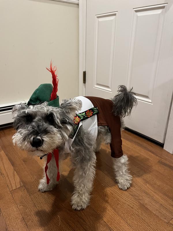 RUBIE'S COSTUME COMPANY Lederhosen Hound Dog Costume, X-Large - Chewy.com