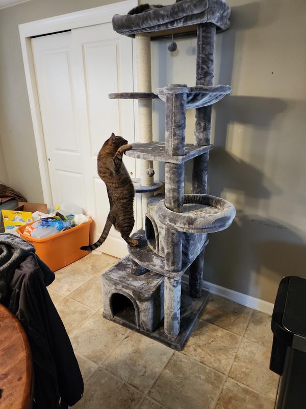 FRISCO 76-in XXL Heavy Duty Cat Tree, Cream - Chewy.com