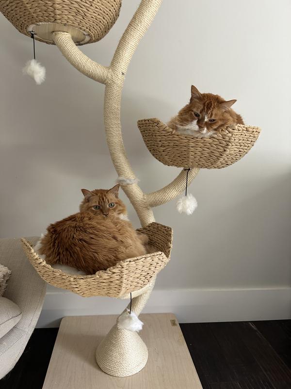 MAU Ivy Cat Tree, Large, White - Chewy.com