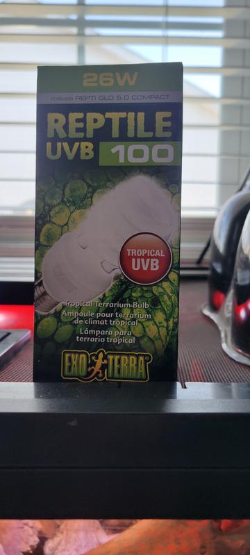 EXO TERRA Tropical UVB 100 Reptile Bulb, 13-w - Chewy.com