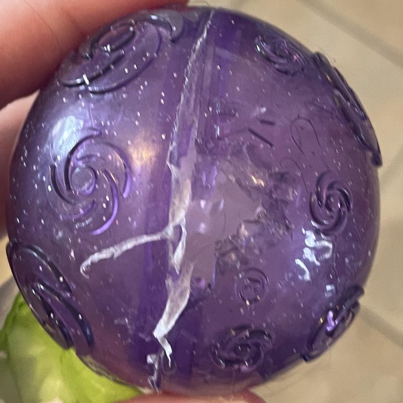 KONG Squeezz Crackle Ball for Dogs, Color Varies, Medium - Chewy.com