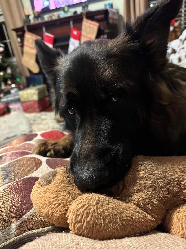 SNUGGLE PUPPY Original Snuggle Puppy Plush Dog Behavioral Aid Anxiety ...