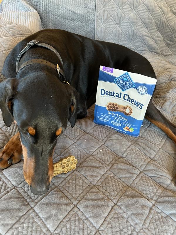 BLUE BUFFALO Dental Bones Large Dental Chew Dog Treats, 7 count - Chewy.com