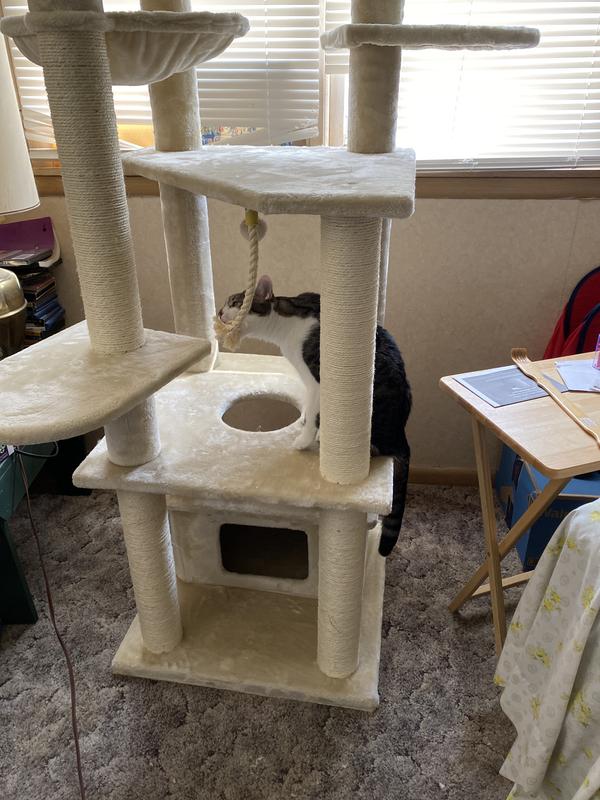 FRISCO 65-in XXL Heavy Duty Cat Tree, Gray - Chewy.com