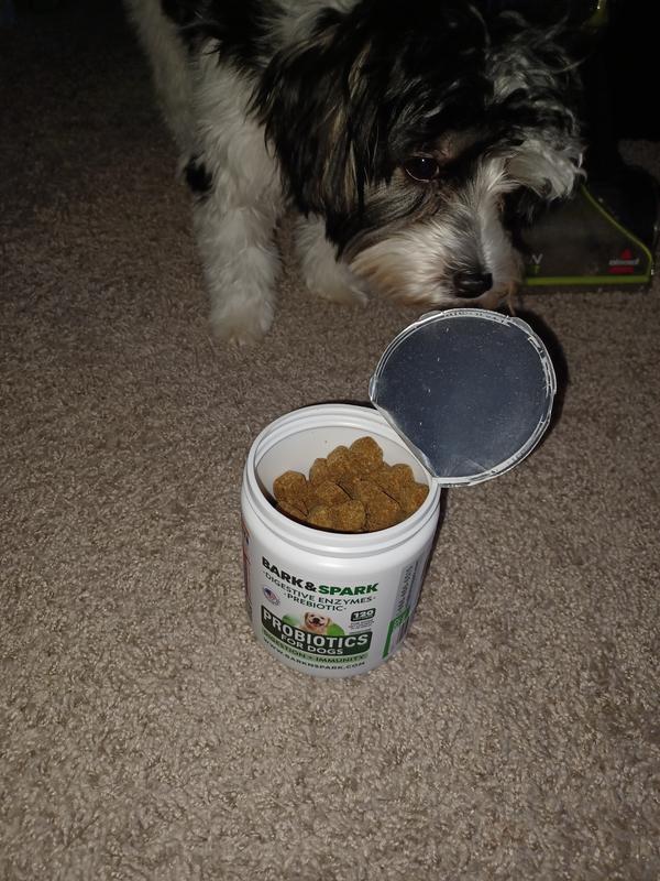 BARK&SPARK Vet Strength Probiotics Digestive Enzymes Prebiotics Fiber ...