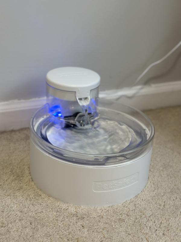 Out of Stock - PETSAFE Outlast Pumpless Cat Water Fountain, White, 60 ...