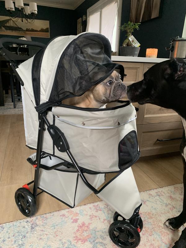 CARLSON PET PRODUCTS Dog Stroller, Khaki - Chewy.com