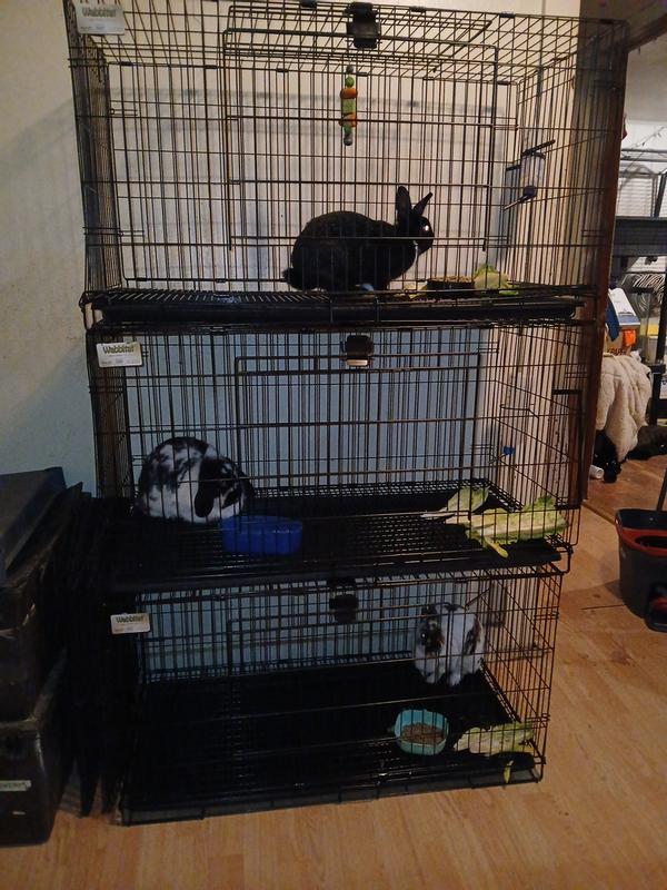 MIDWEST Wabbitat Rabbit Home, 25-in - Chewy.com