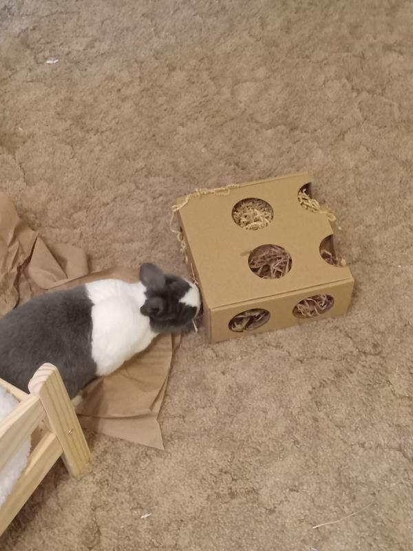 OXBOW Enriched Life Burrow Box Small Pet Toy - Chewy.com