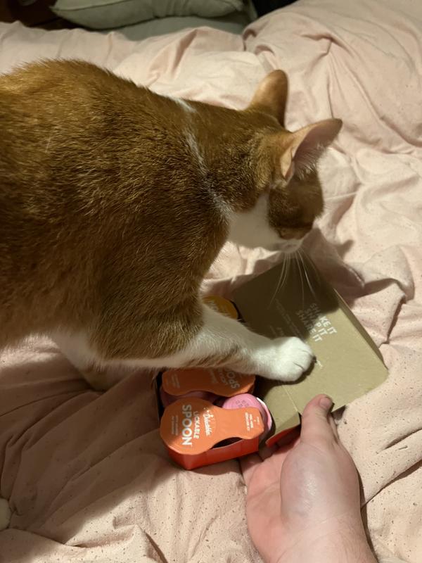 HARTZ Delectables Lickable Spoon Variety Pack Handheld Creamy Cat ...