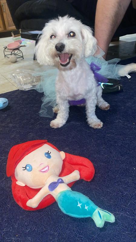 Out of Stock - DISNEY Princess Ariel Plush Squeaky Dog Toy, 2 count ...