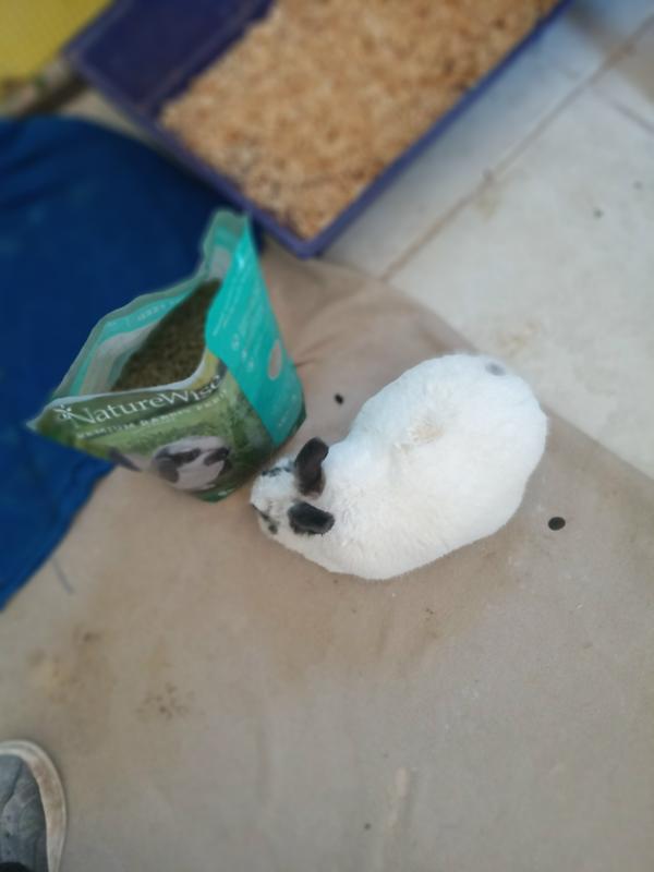 NUTRENA NatureWise Premium Rabbit Food, 25-lb bag - Chewy.com