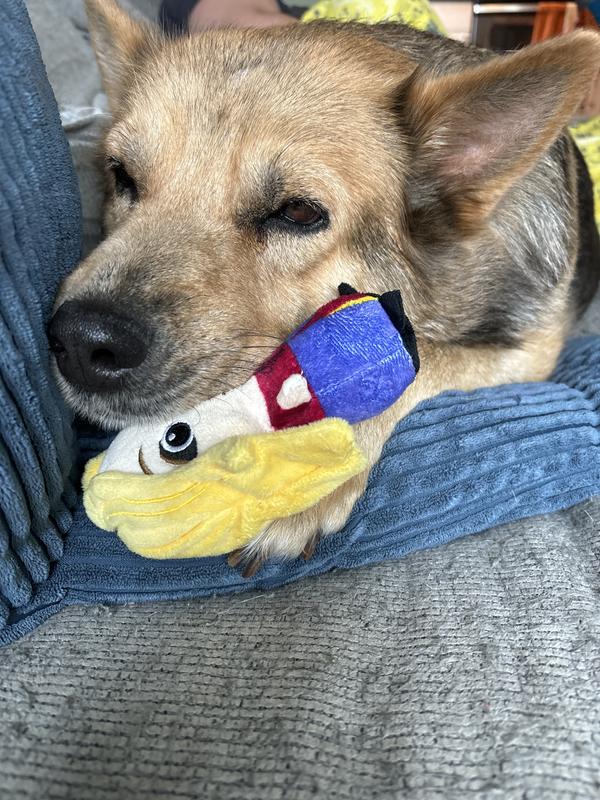 DISNEY Halloween Hocus Pocus Sanderson Sisters Plush Squeaky Dog Toy ...