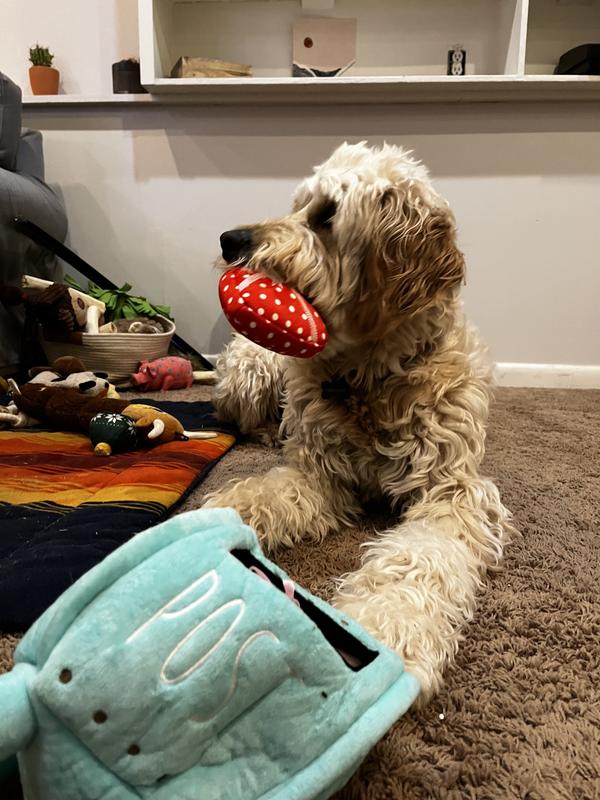 Out of Stock - FRISCO Valentine Love Letters Hide & Seek Puzzle Plush ...