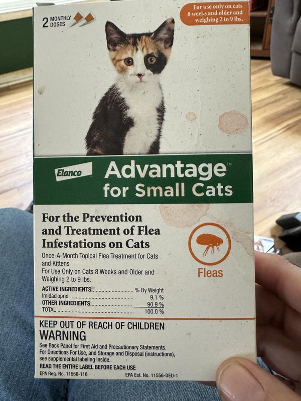 ADVANTAGE Topical Flea Prevention for Small Cats, 2-9 lbs, 2-Monthly ...