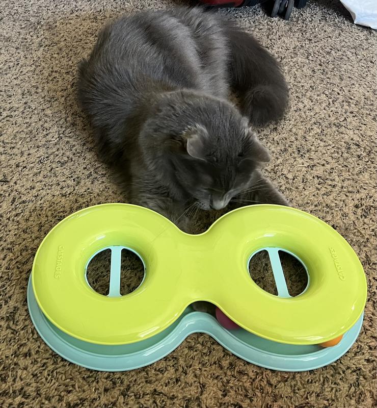 CATSTAGES Infinity Ball Track Including One Light-Up Ball, Figure-8 ...