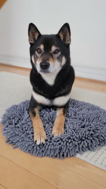 FRISCO Snuffle Mat, Grey - Chewy.com