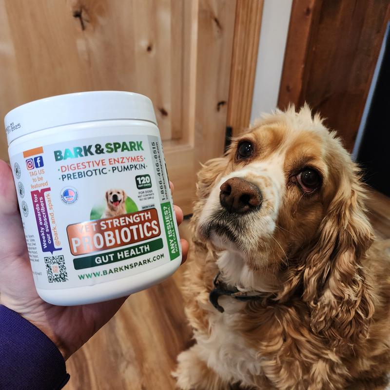 BARK&SPARK Vet Strength Probiotics Digestive Enzymes Prebiotics Fiber ...
