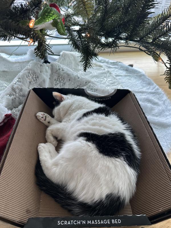 OMEGA PAW Ripple Board Scratch Massage Cat Bed - Chewy.com