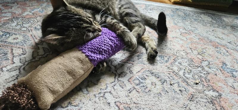 KONG Kickeroo Cuddler Cat Toy, Color Varies - Chewy.com