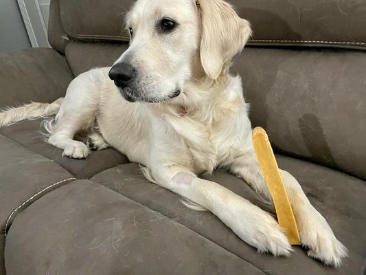 PAWSTRUCK Himalayan Monster Yak Dog Treat, 7-8 oz - Chewy.com