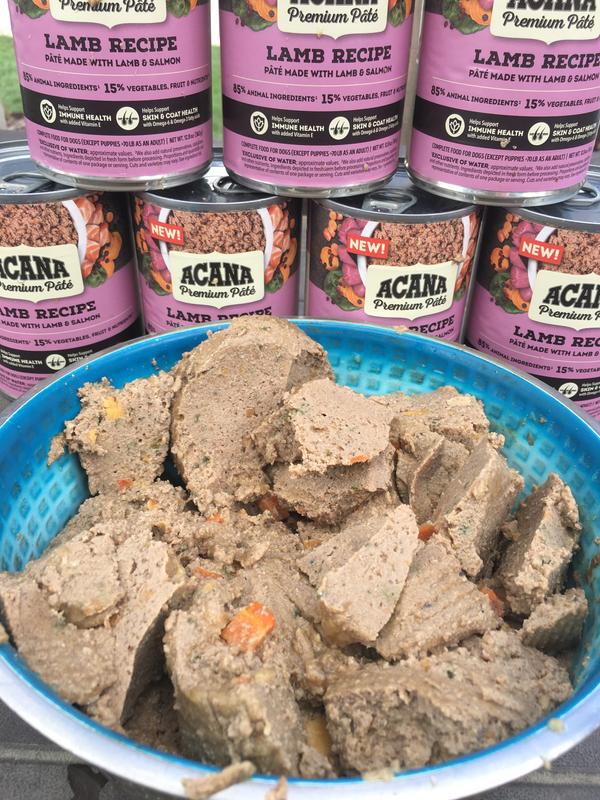 ACANA Premium Adult High-Protein Lamb Recipe in Bone Broth Pate Wet Dog ...