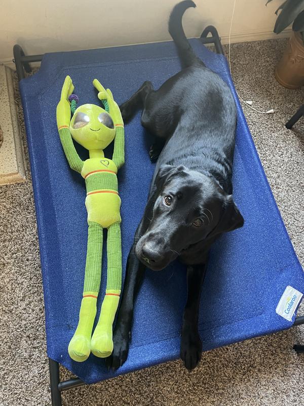 FRISCO Halloween Alien Wagazoo Plush Squeaky Dog Toy, Extra Long, Large/X-Large - Chewy.com