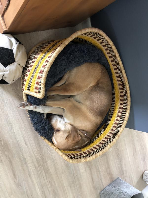 PETAMI Donut Cat & Dog Bed, Light Gray, Medium - Chewy.com