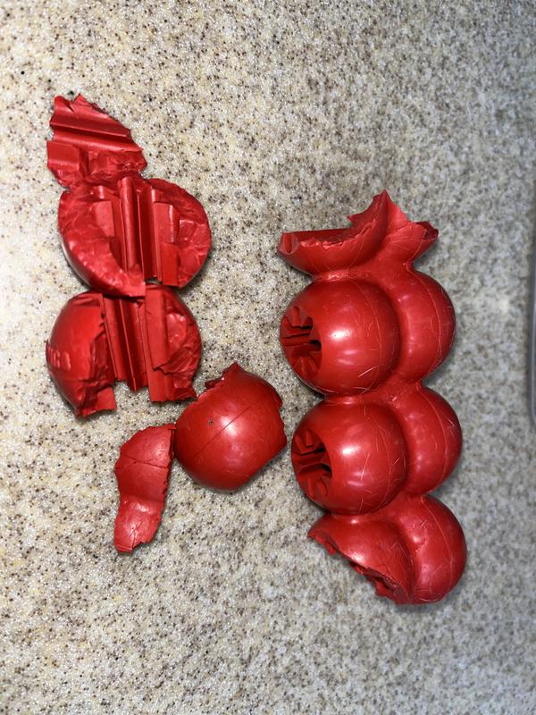 KONG Goodie Ribbon Dog Toy, Red, Small - Chewy.com