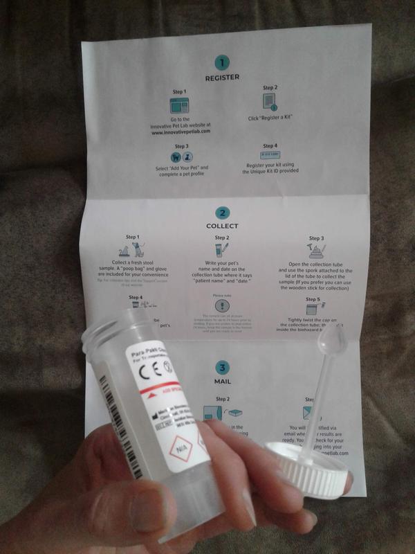 INNOVATIVE PET LAB Comprehensive Review Dog Gut Check Kit - Chewy.com