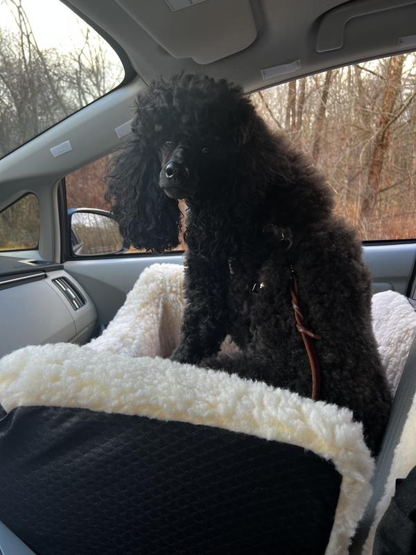 SNOOZER PET PRODUCTS Lookout 2 Dog Car Seat, Denim Diamond, Medium ...