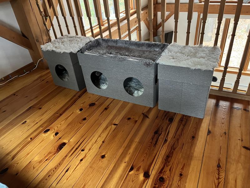 FRISCO Double Cube Stackable & Collapsible Cat Condo, Gray - Chewy.com