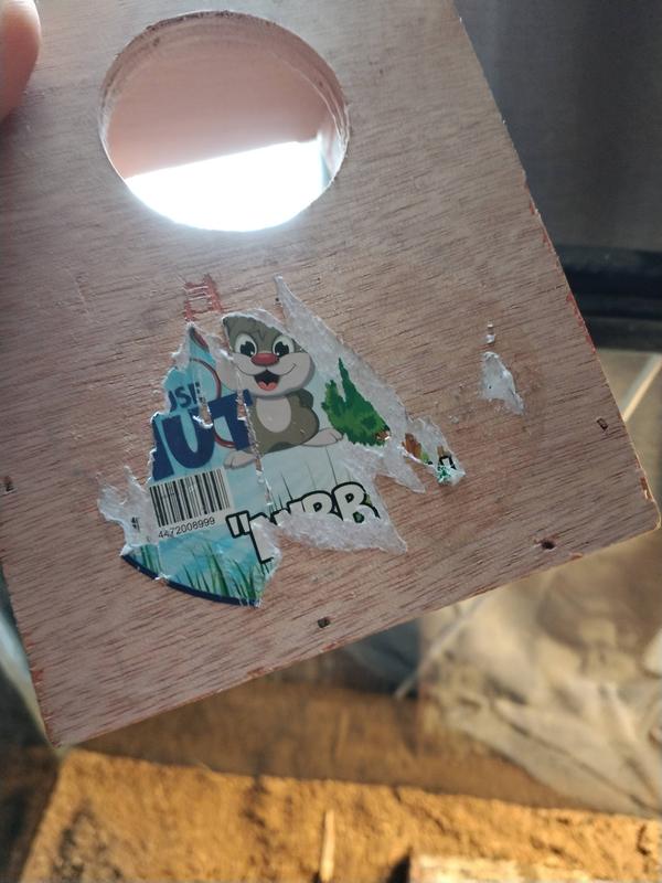 A&E CAGE COMPANY Small Mouse Hut - Chewy.com