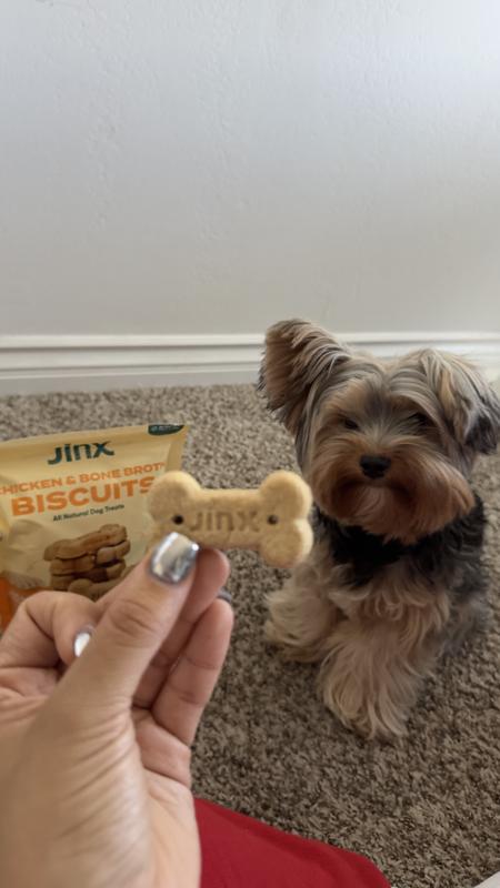 JINX Chicken & Bone Broth Biscuits Crunchy Dog Treats, 16-oz bag ...