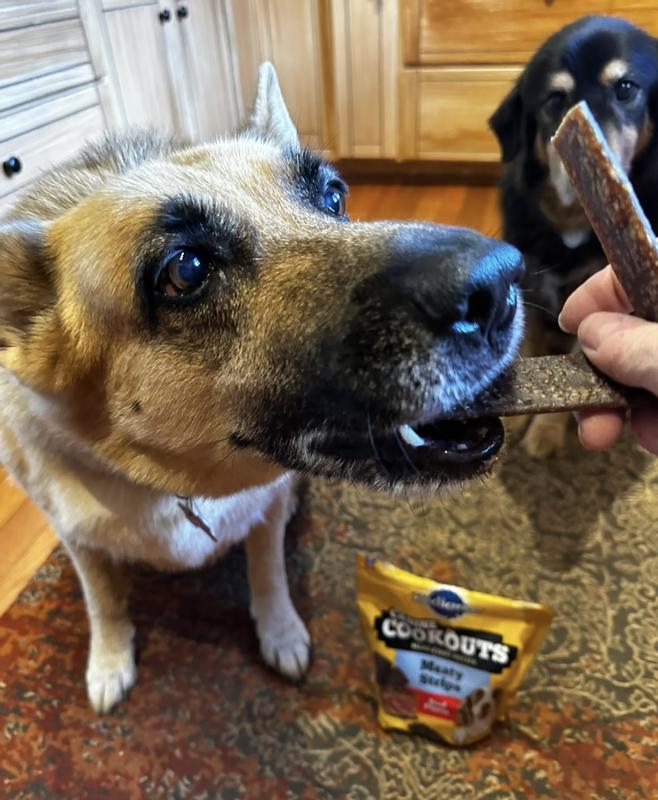 Discontinued - PEDIGREE Canine Cookout Beef Flavored High-Protein Adult ...