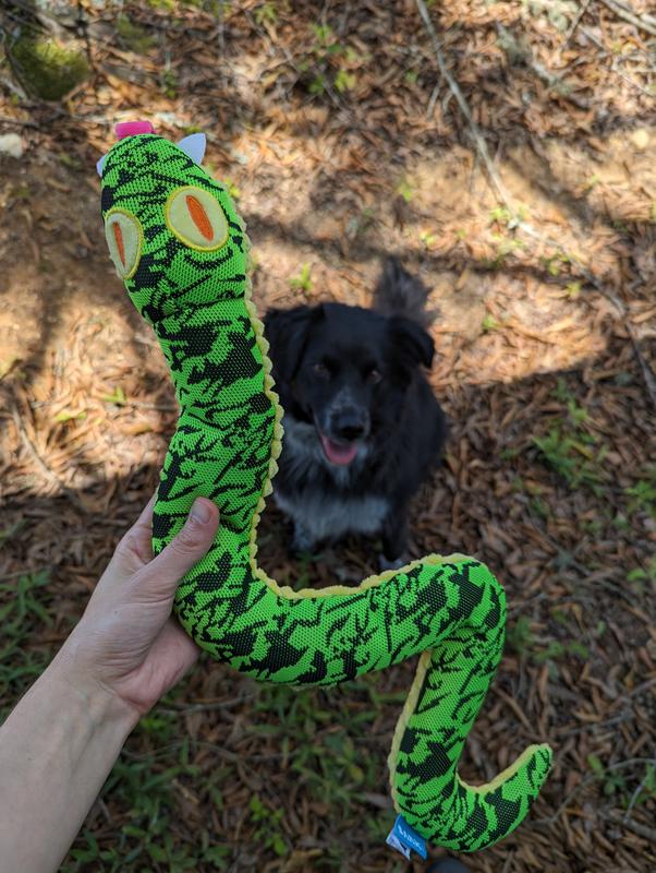 BARK Steve Squeaky Plush Snake Dog Toy, Green - Chewy.com