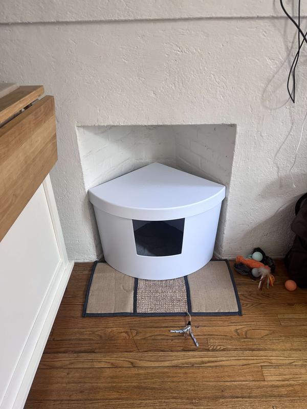 KITANGLE Corner Kitty Cat Litter Box, Large, White - Chewy.com