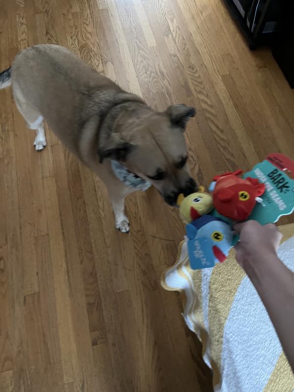 Out of Stock - BARK The Groupers 3-in-1 Squeaky Plush Dog Toy - Chewy.com