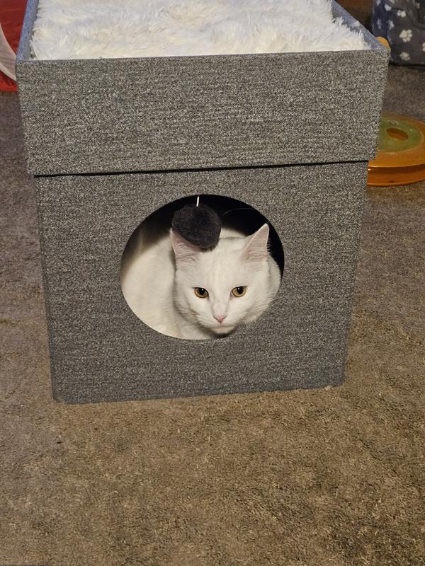 FRISCO Single Cube Stackable & Collapsible Cat Condo, Gray - Chewy.com