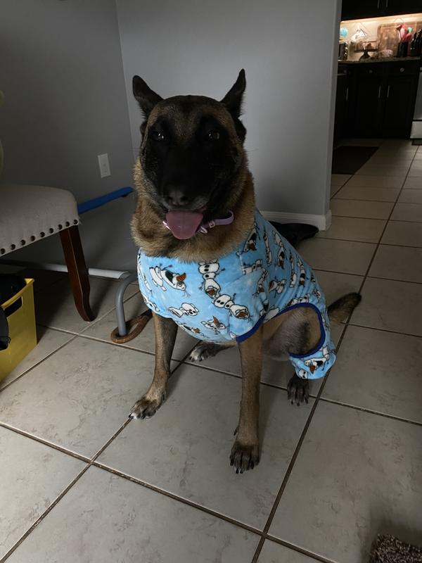 DISNEY Frozen's Olaf Dog & Cat Plush Fleece PJ, X-Large - Chewy.com