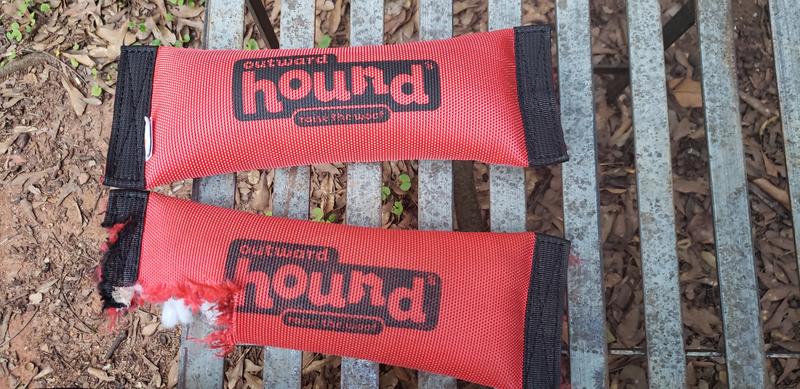 OUTWARD HOUND Firehose Squeak N Fetch Dog Toy, Medium - Chewy.com