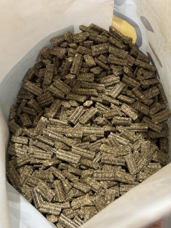 BUNNY NATURE RabbitDream Herbs Rabbit Food, 1.7-lb bag - Chewy.com